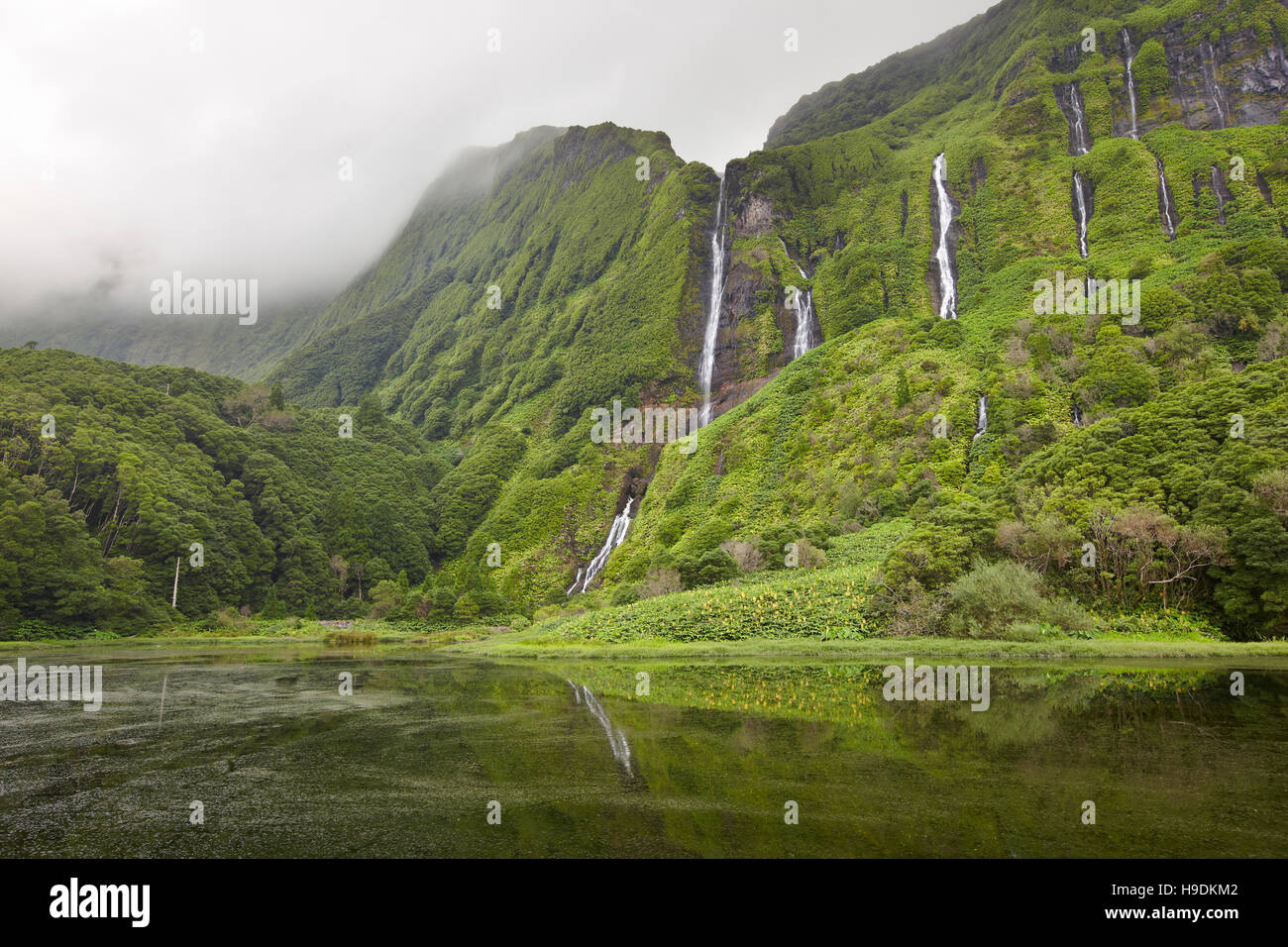 Azores landscape in Flores island. Waterfalls in Pozo da Alagoinha ...