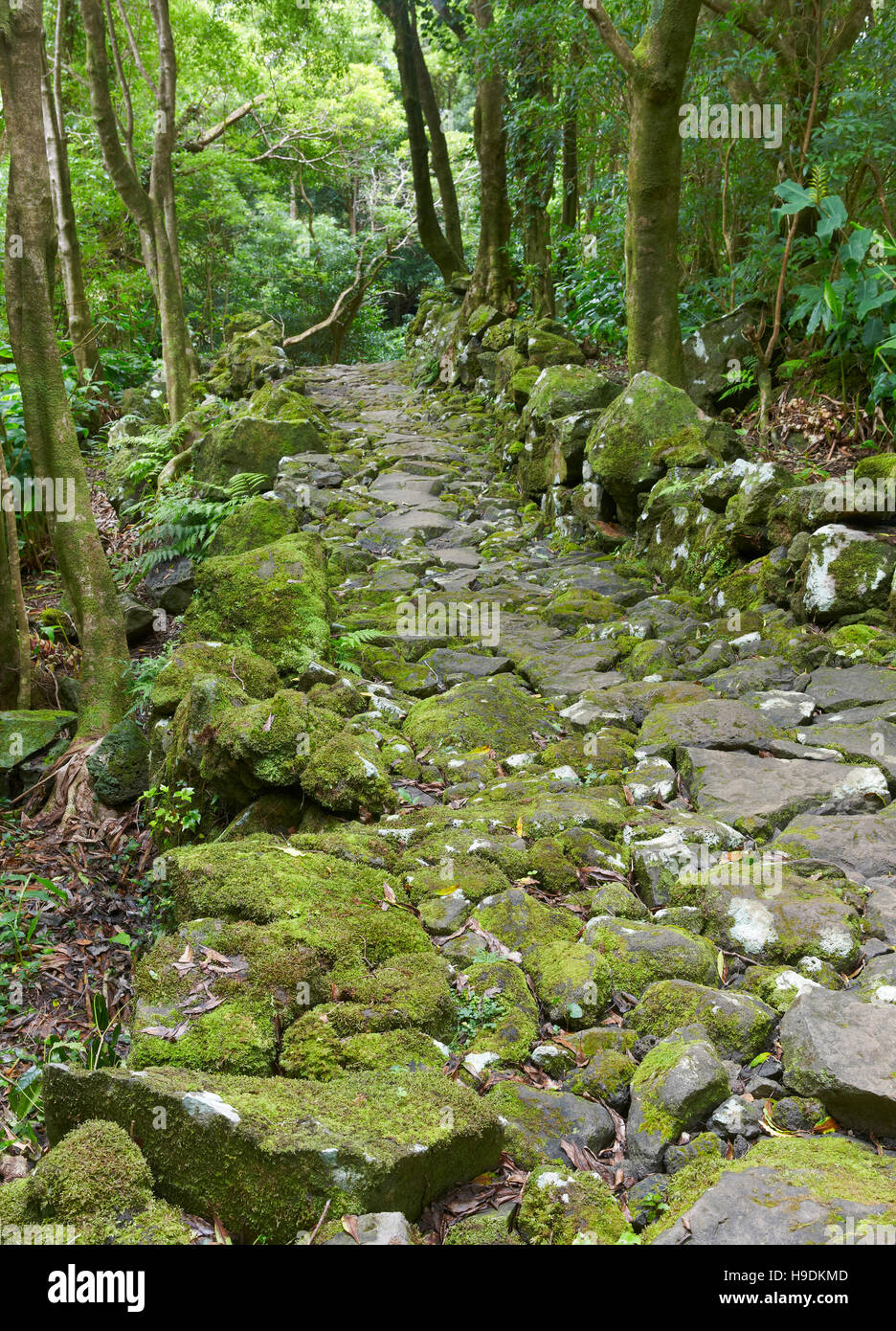 Rocky pathway hi-res stock photography and images - Alamy