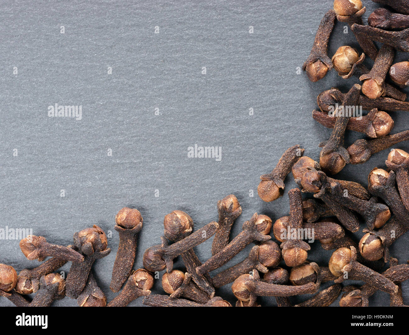 Cloves spice on gray slate background with copy space. Isolated one ...