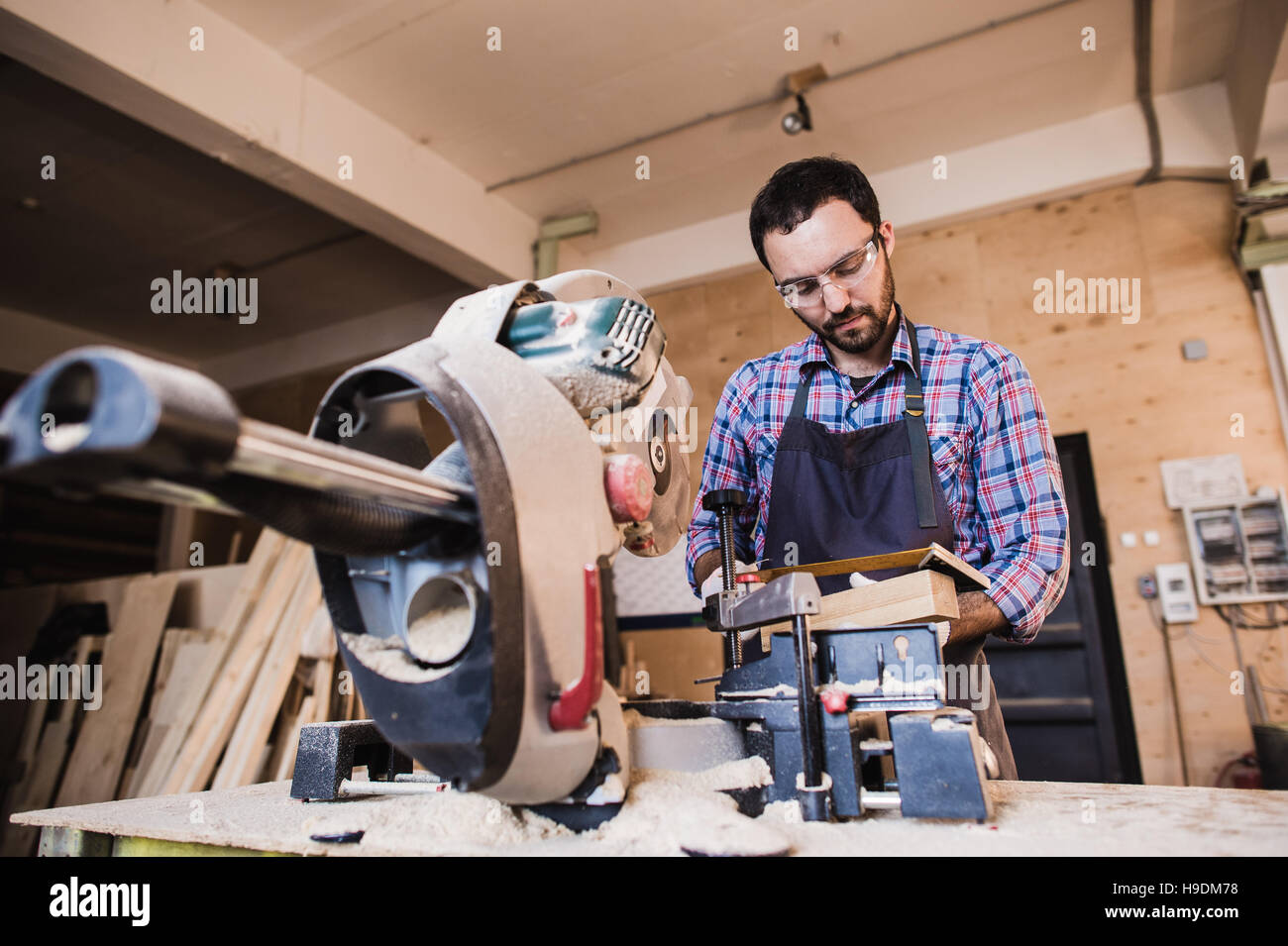 Framing contractor using a circular cut off saw to trim wood studs ...