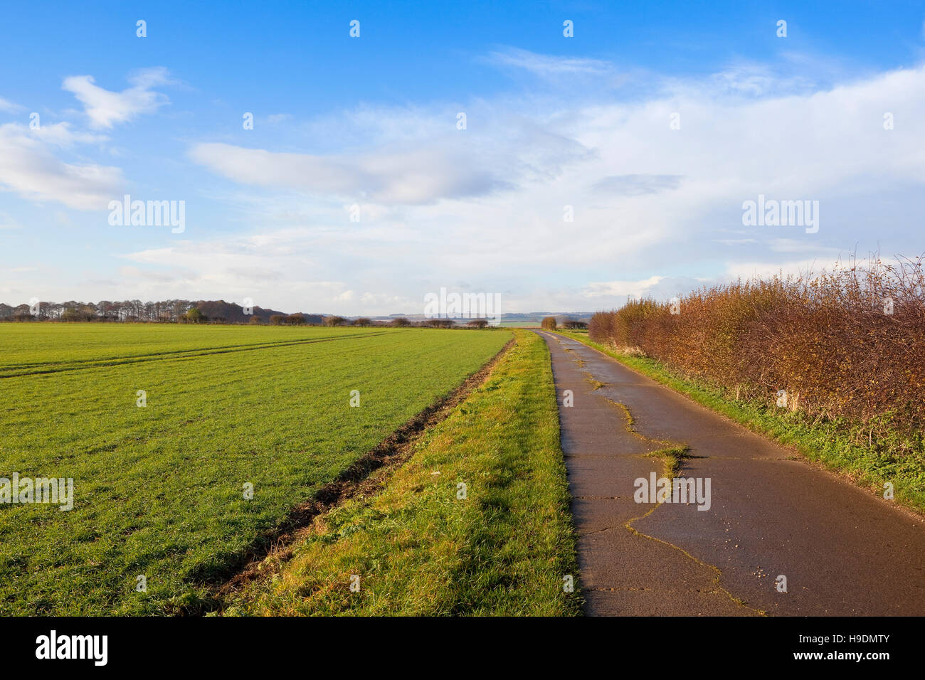 A concrete farm track used as a bridleway and footpath through the ...
