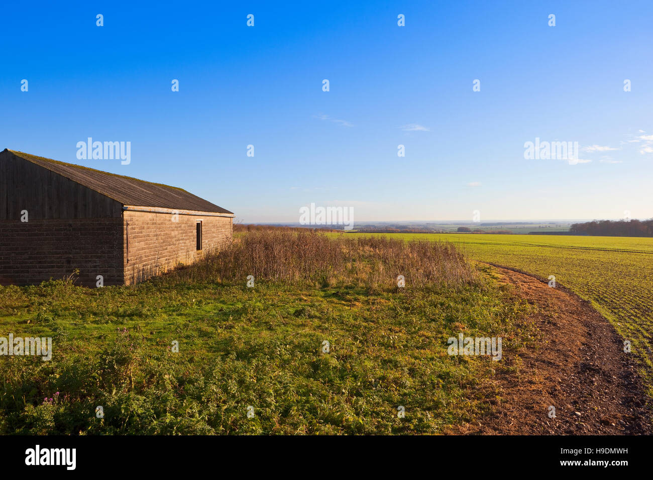 A farm building overlooking a wheat crop and the vale of York from high ...