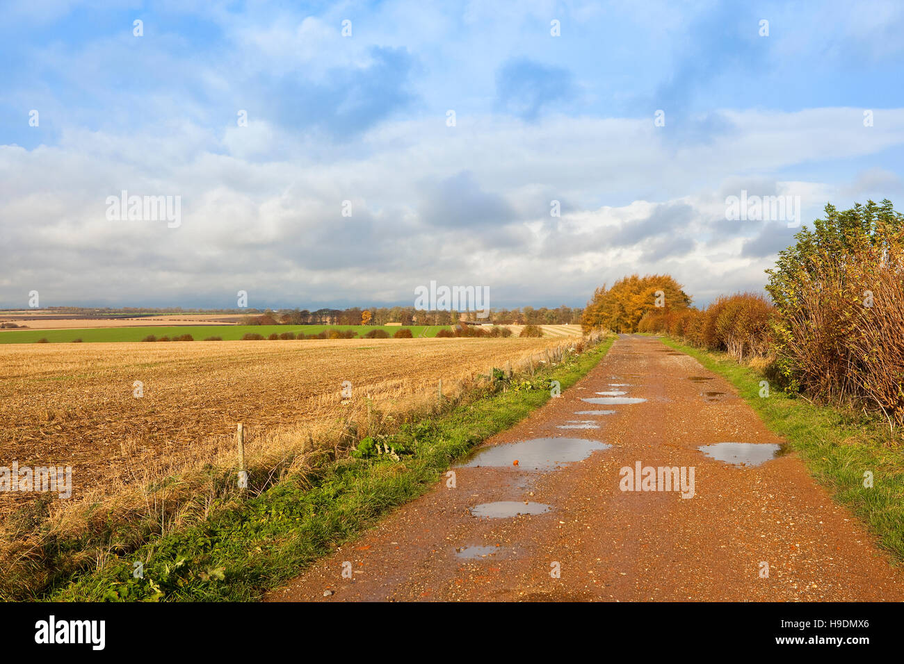 Wet farm track hi-res stock photography and images - Alamy