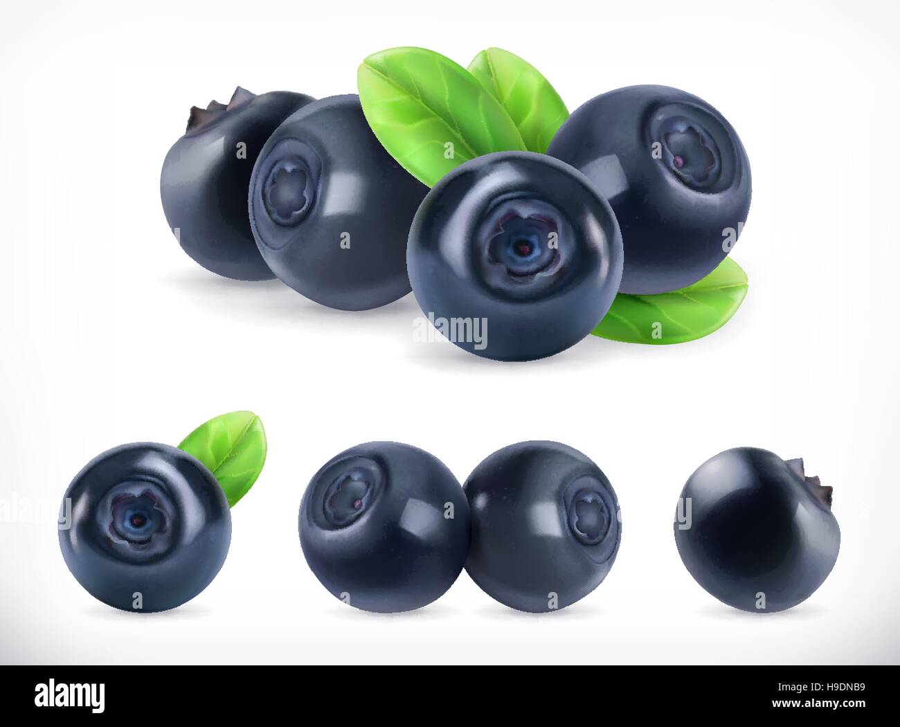 Blueberry. Sweet fruit. Forest berry. 3d vector icons set. Realistic ...