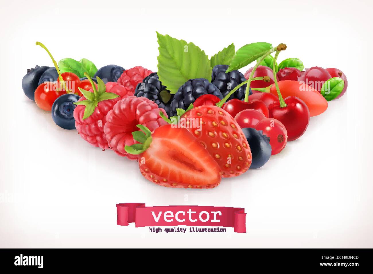 Forest berry. Sweet fruit. Vector illustration isolated on white Stock ...