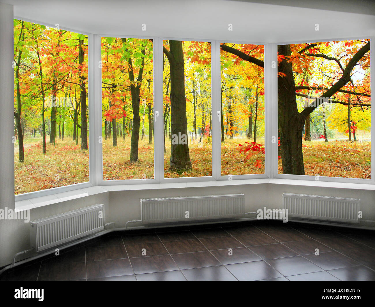 big panoramic windows with view to oaken autumnale forest Stock Photo ...