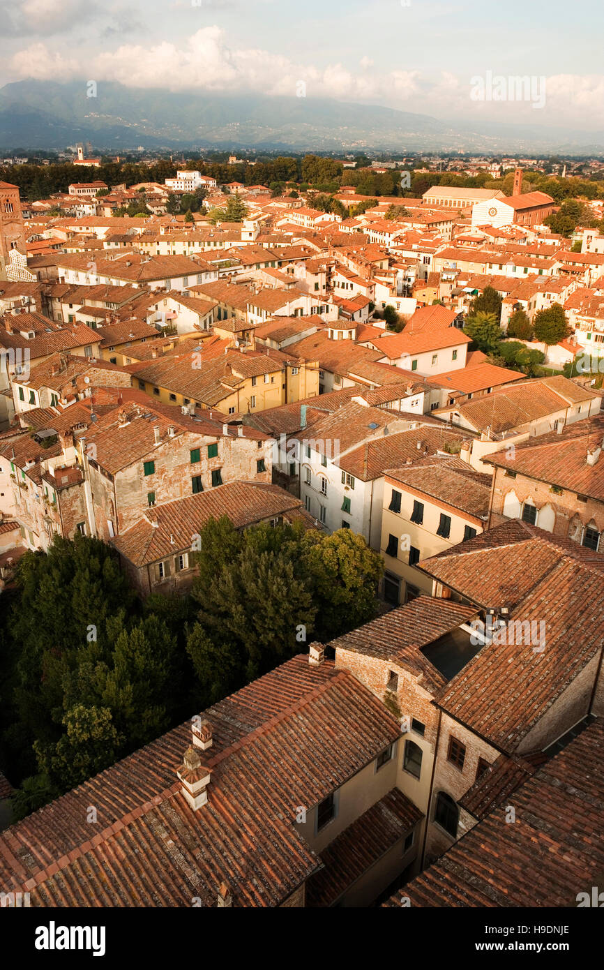 Aerial View of Lucca Italy Stock Photo - Alamy
