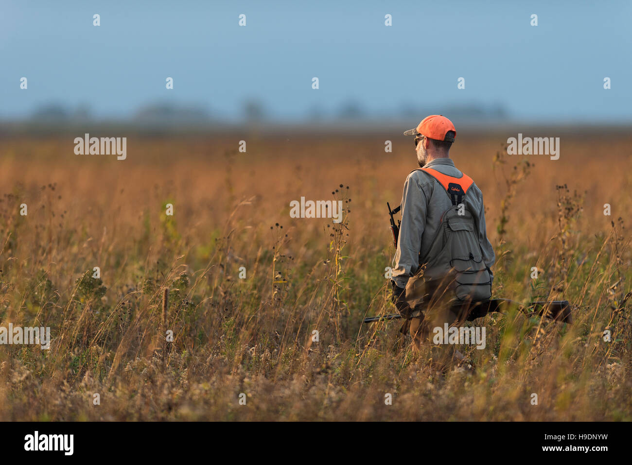 A pheasant hunter in North Dakota Stock Photo - Alamy