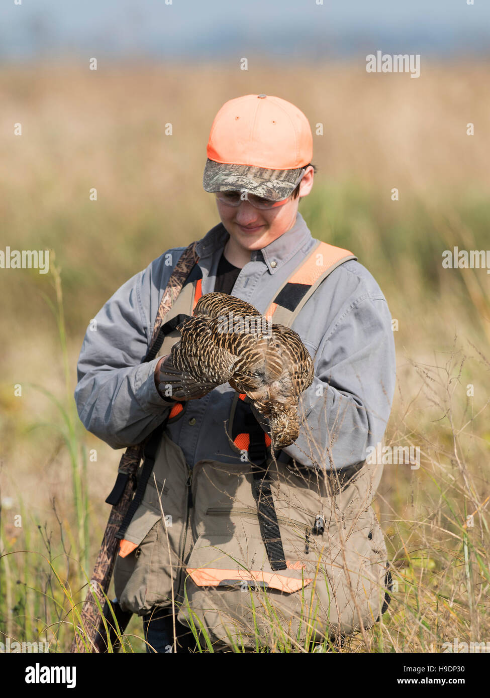 Sharp tailed grouse montana hi-res stock photography and images - Alamy