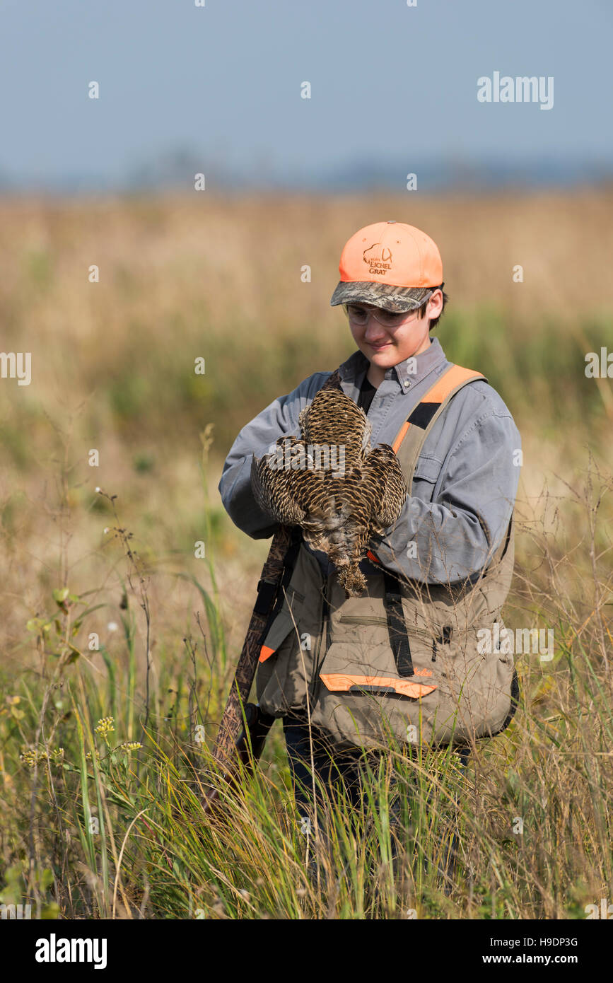 Sharp tailed grouse montana hi-res stock photography and images - Alamy
