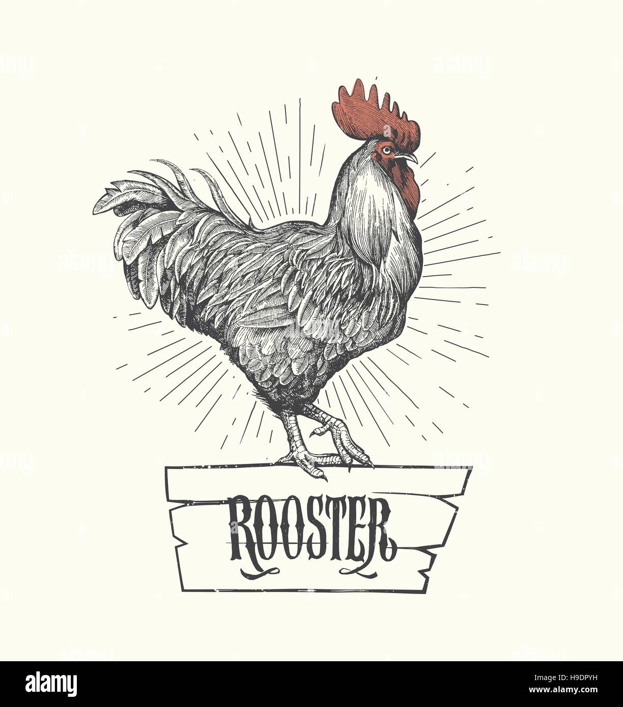 Rooster in graphic style, hand drawn illustration Stock Vector Image ...
