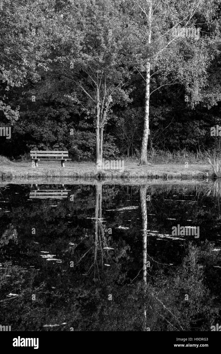Reflecting water, a dark mirror showing the world upside down. A ...