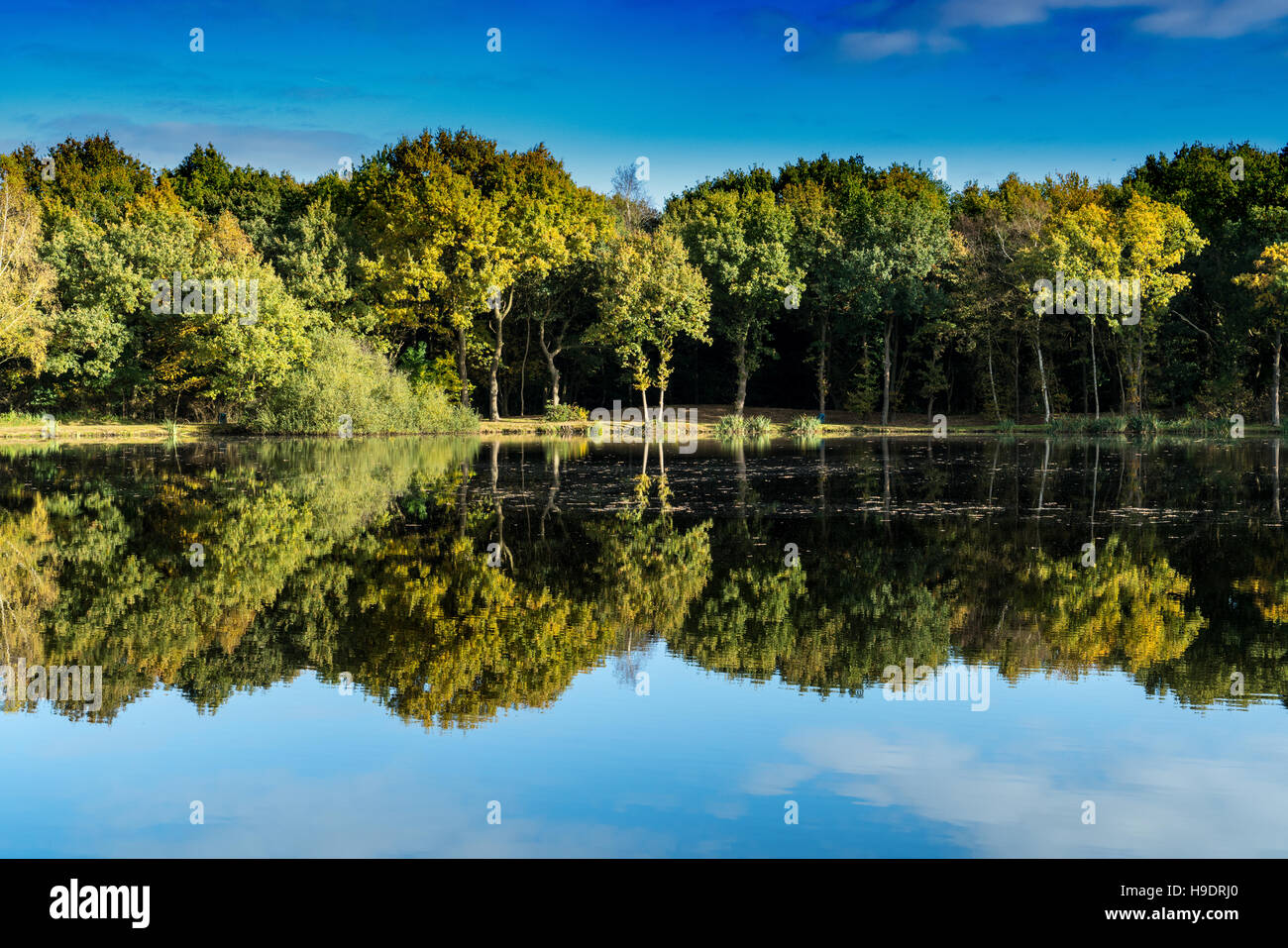 Great reflection in the water. It feels like looking at the world ...