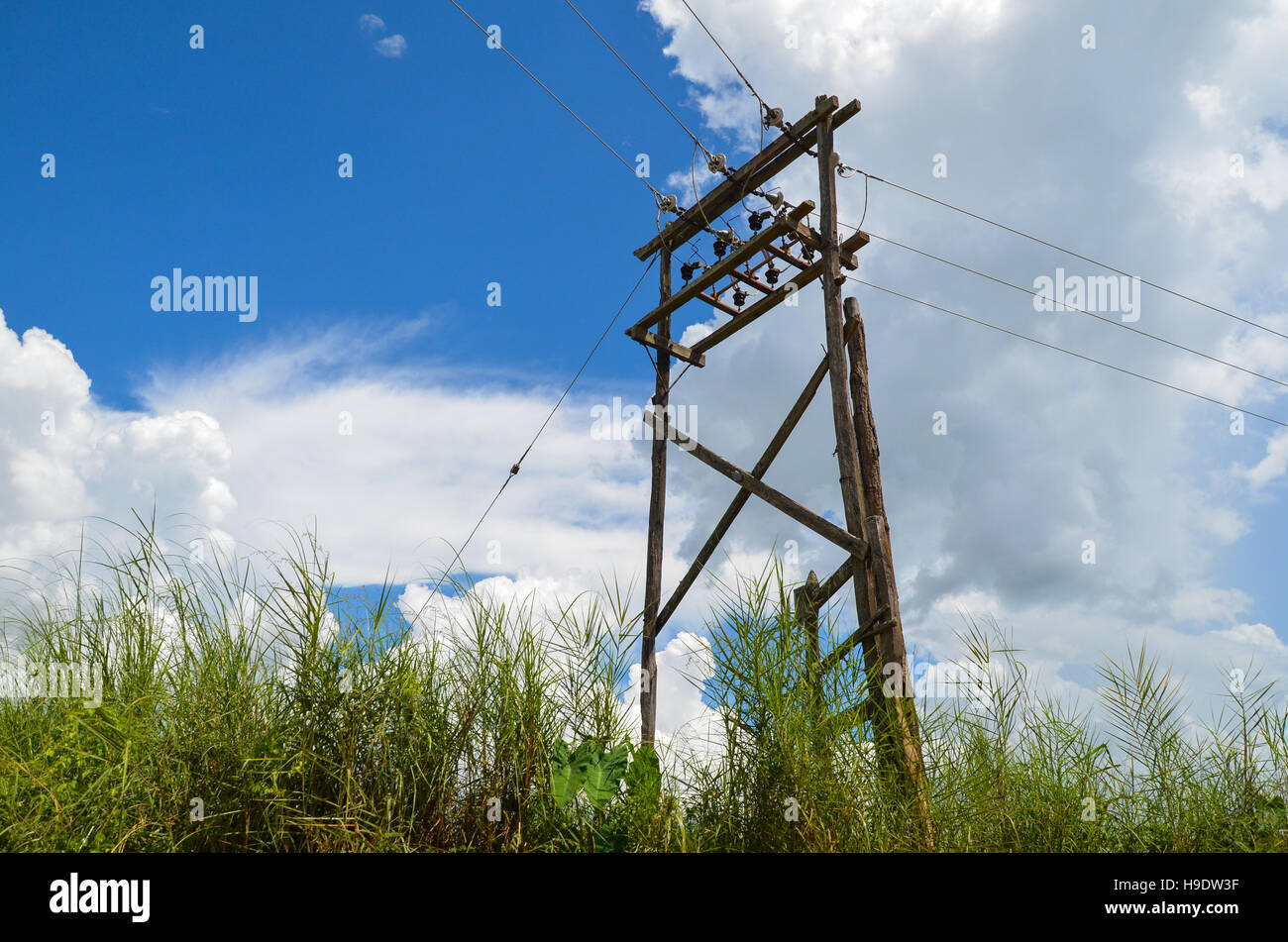 Old wooden power line hi-res stock photography and images - Alamy
