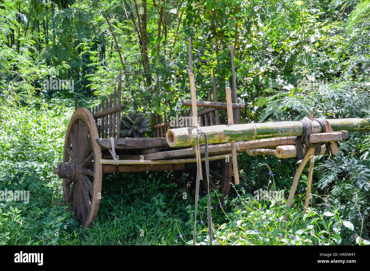 Bamboo cart hi-res stock photography and images - Alamy