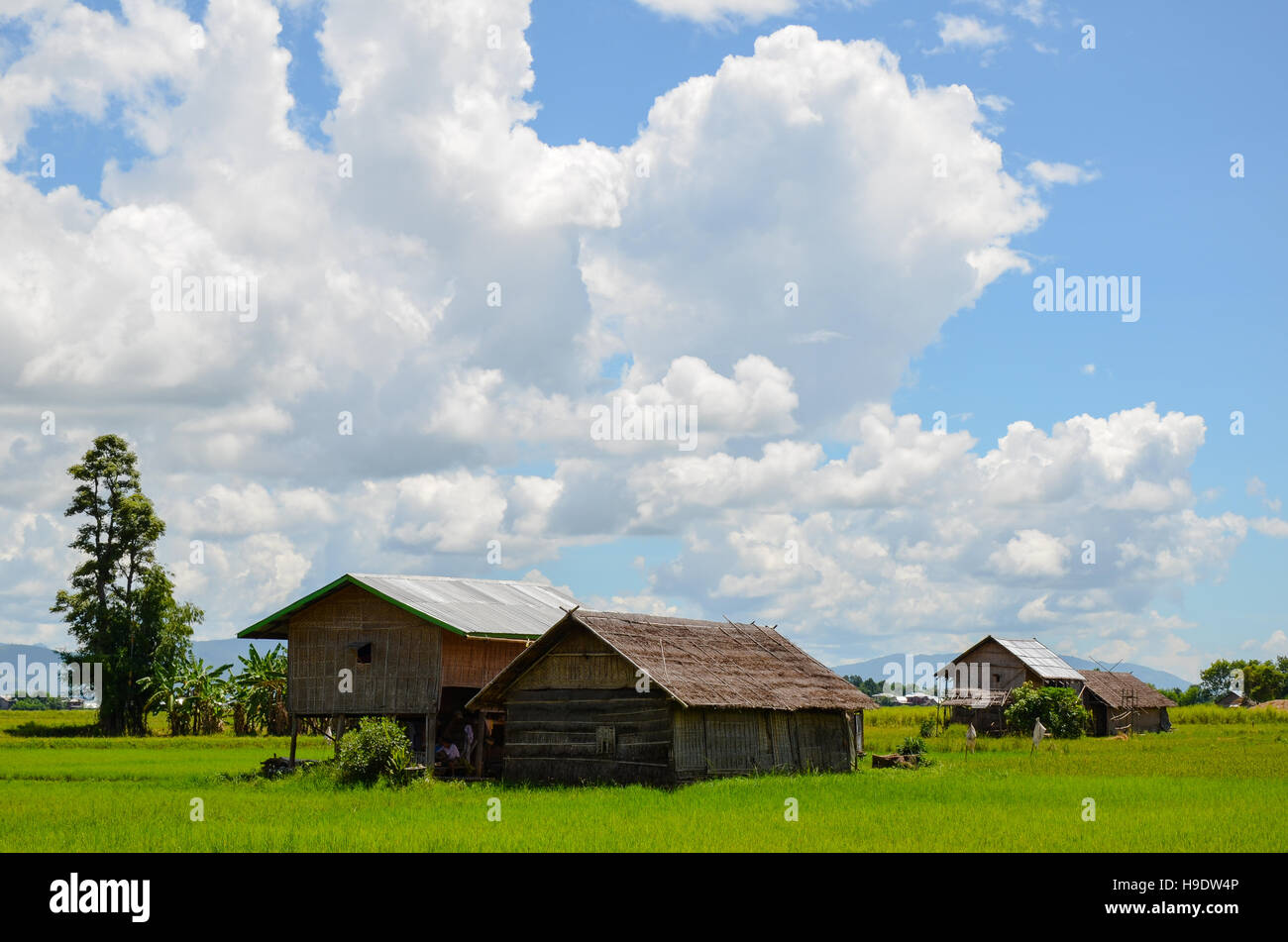 Typical rural landscape in Myanmar with traditional bamboo huts and ...