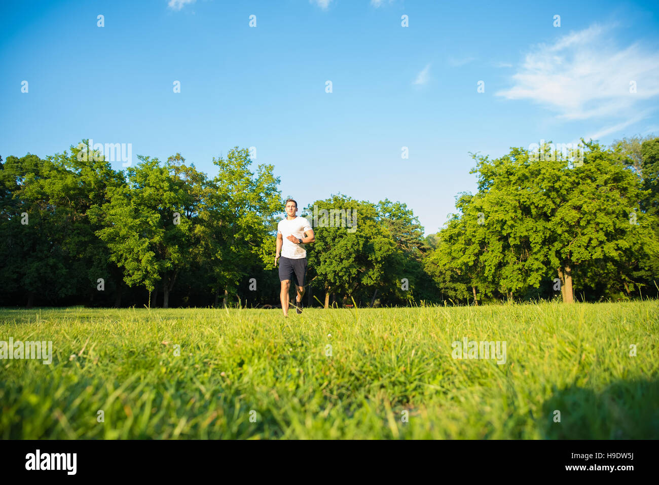 A handsome young man running on a summer evening in a park Stock Photo ...