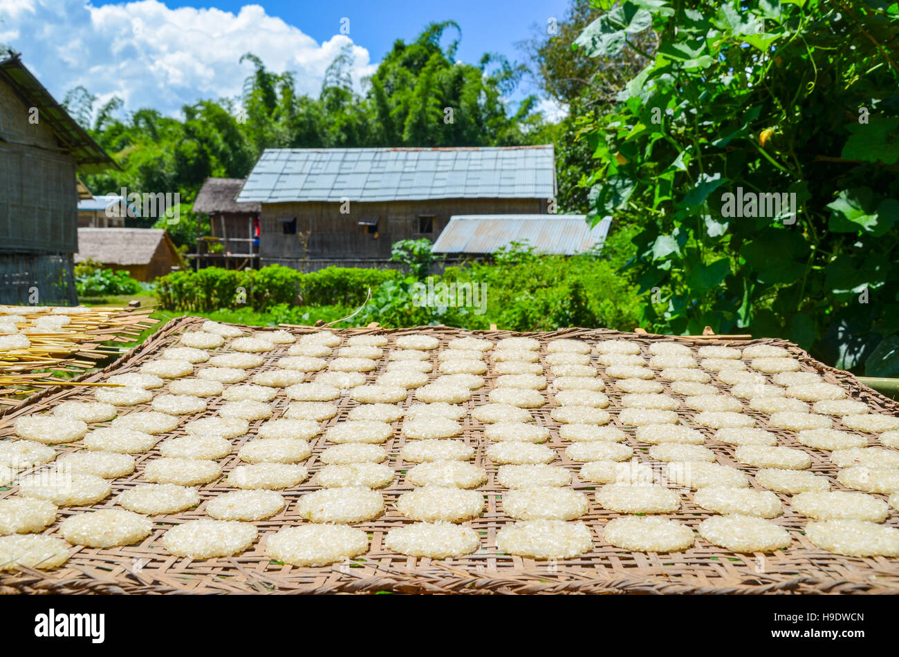 Typical rural landscape in Myanmar with traditional bamboo huts and ...