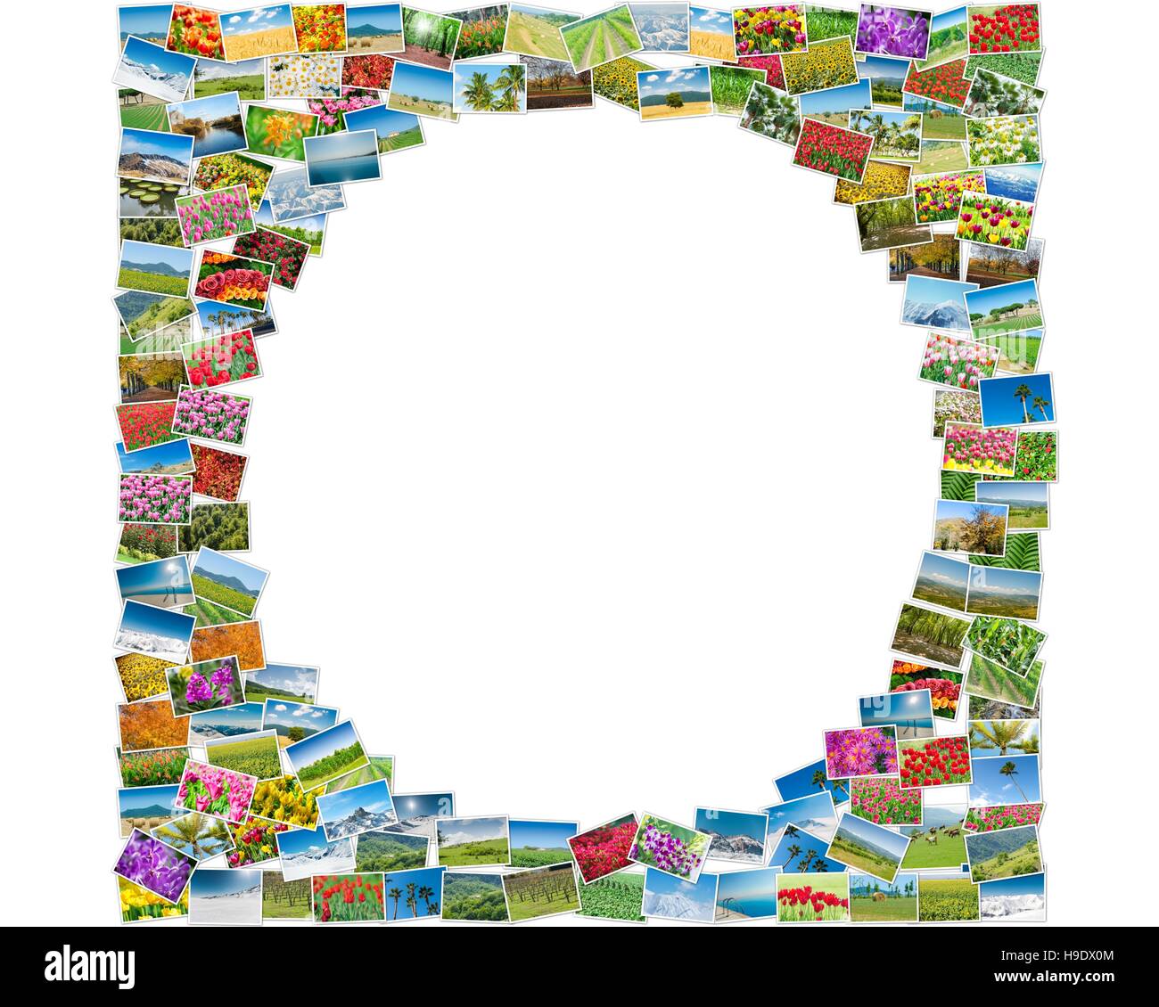 Various nature photos arranged in round frame Stock Photo - Alamy