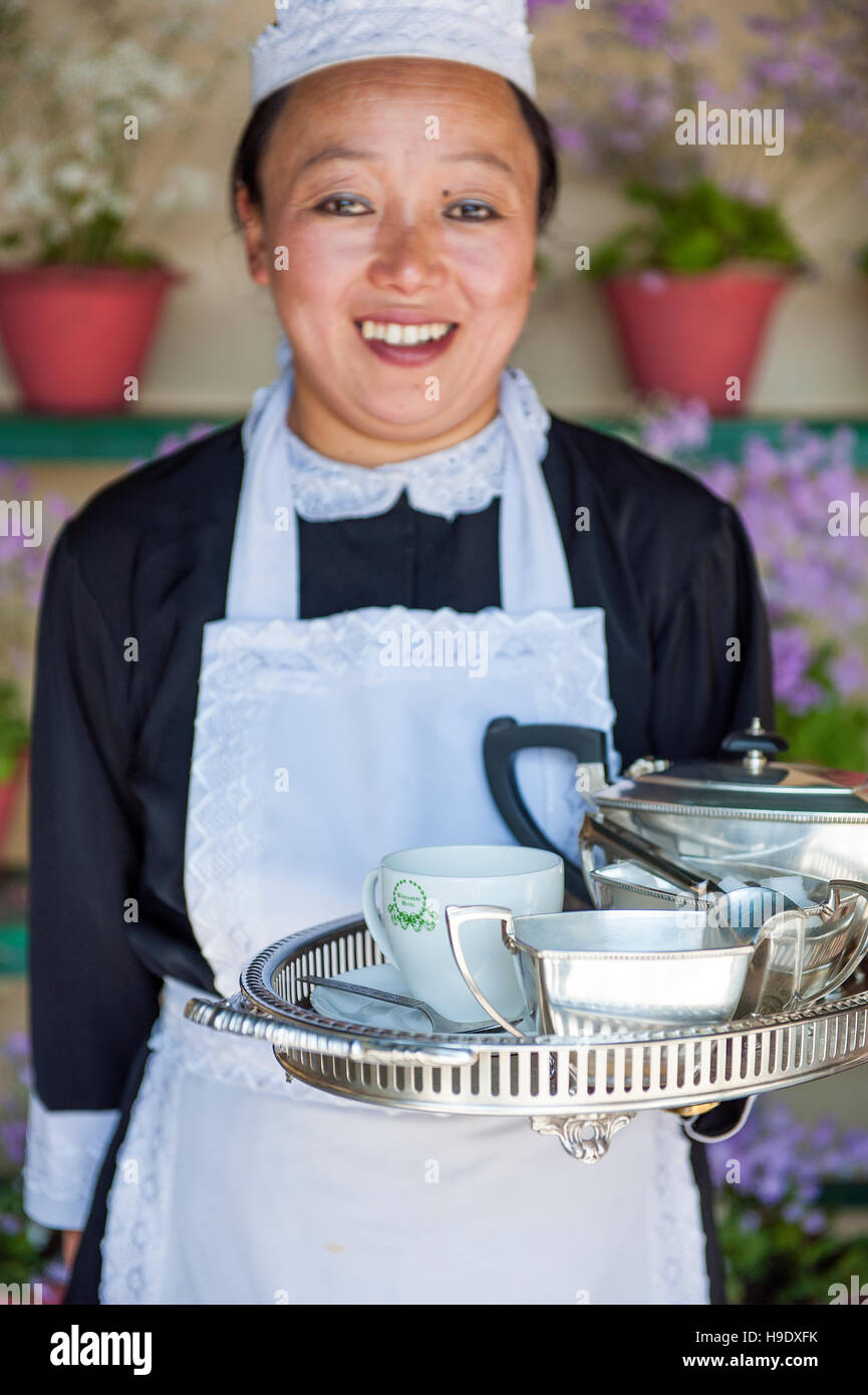 A waitress serving afternoon tea at the Windamere Hotel in Darjeeling ...