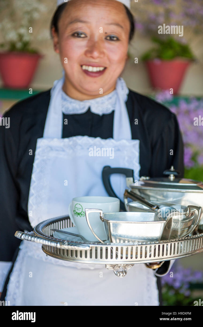 A waitress serving afternoon tea at the Windamere Hotel in Darjeeling ...