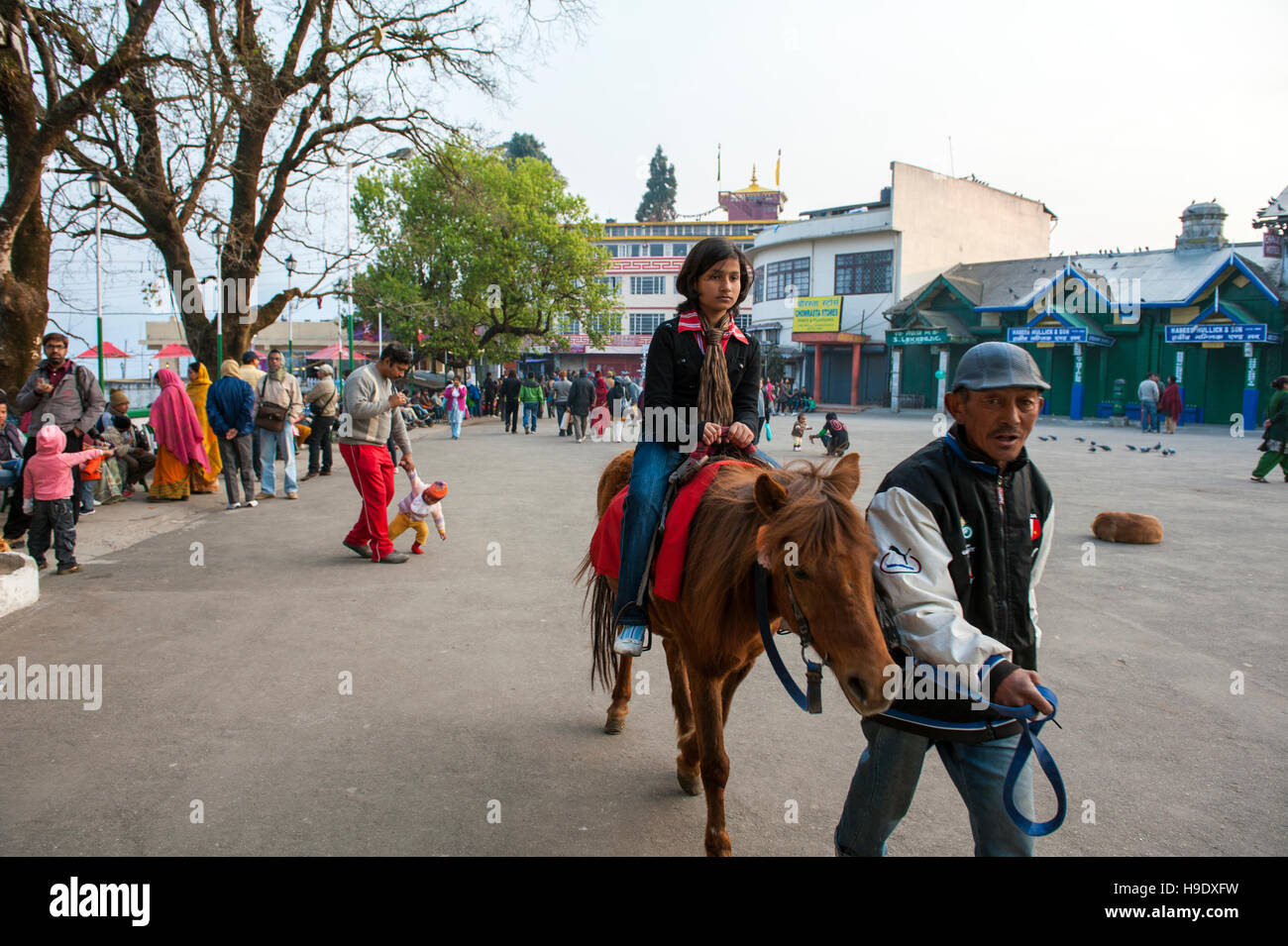 A girl being taken on a horse ride on the Chowrasta Mall in Darjeeling ...