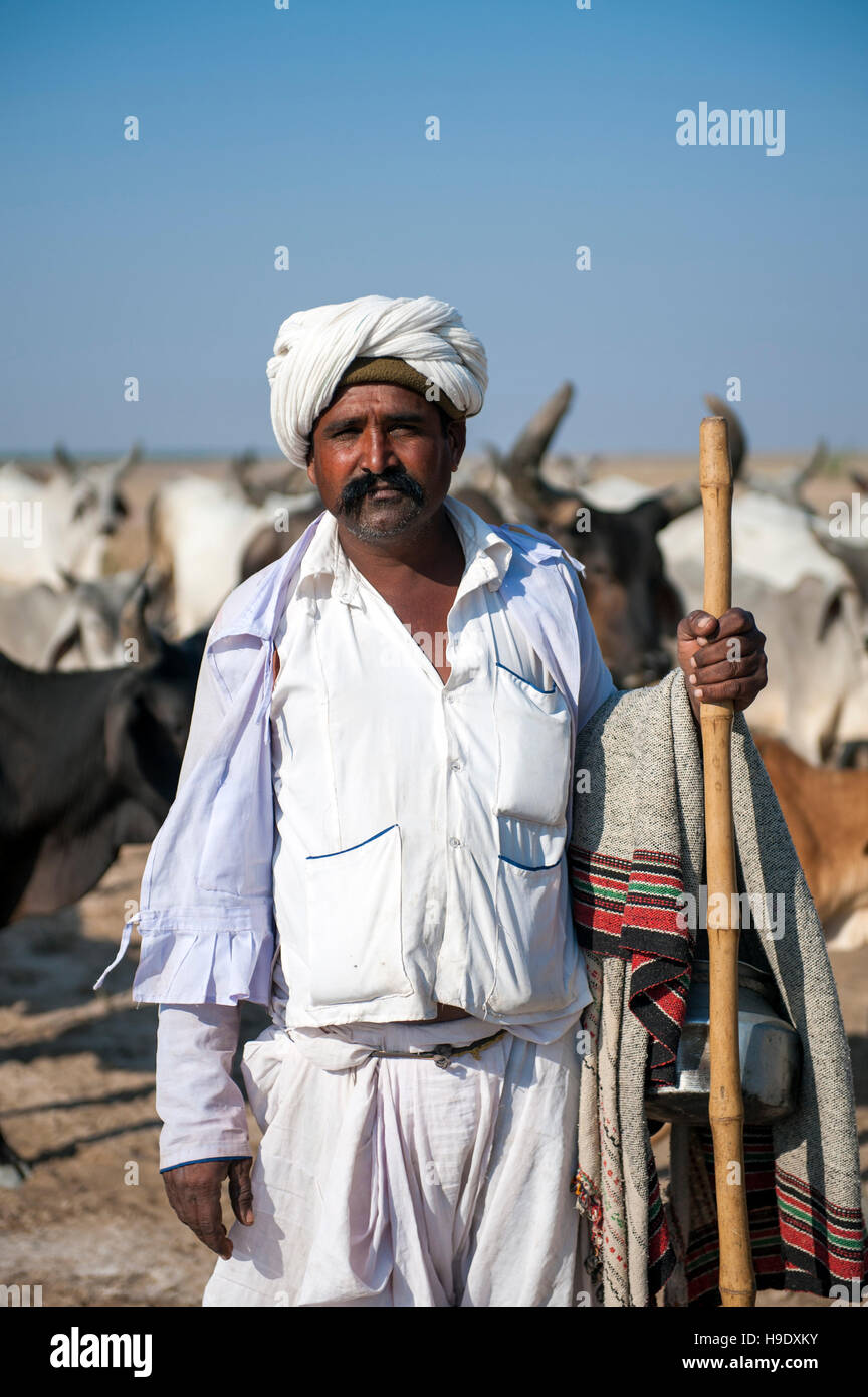 A Rabari cattle herder in the Little Rann of Kutch Stock Photo - Alamy