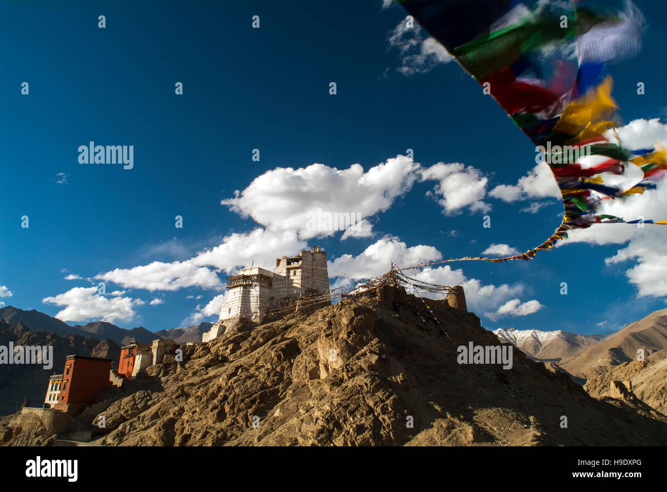 The 15th century Tsemo Gompa, and above it, Tsemo (Victory) Fort as ...