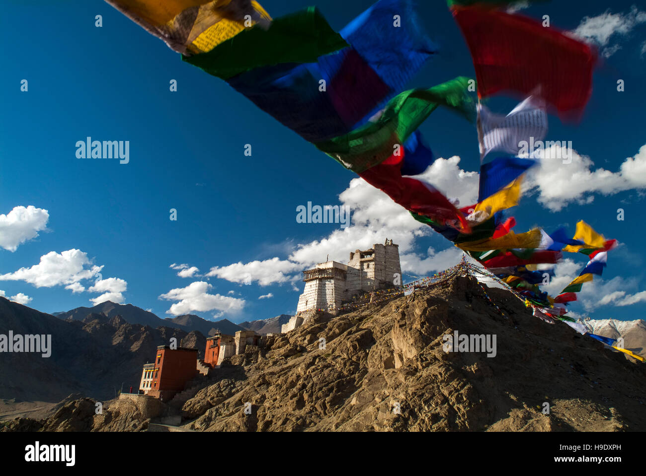 The 15th century Tsemo Gompa, and above it, Tsemo (Victory) Fort as ...