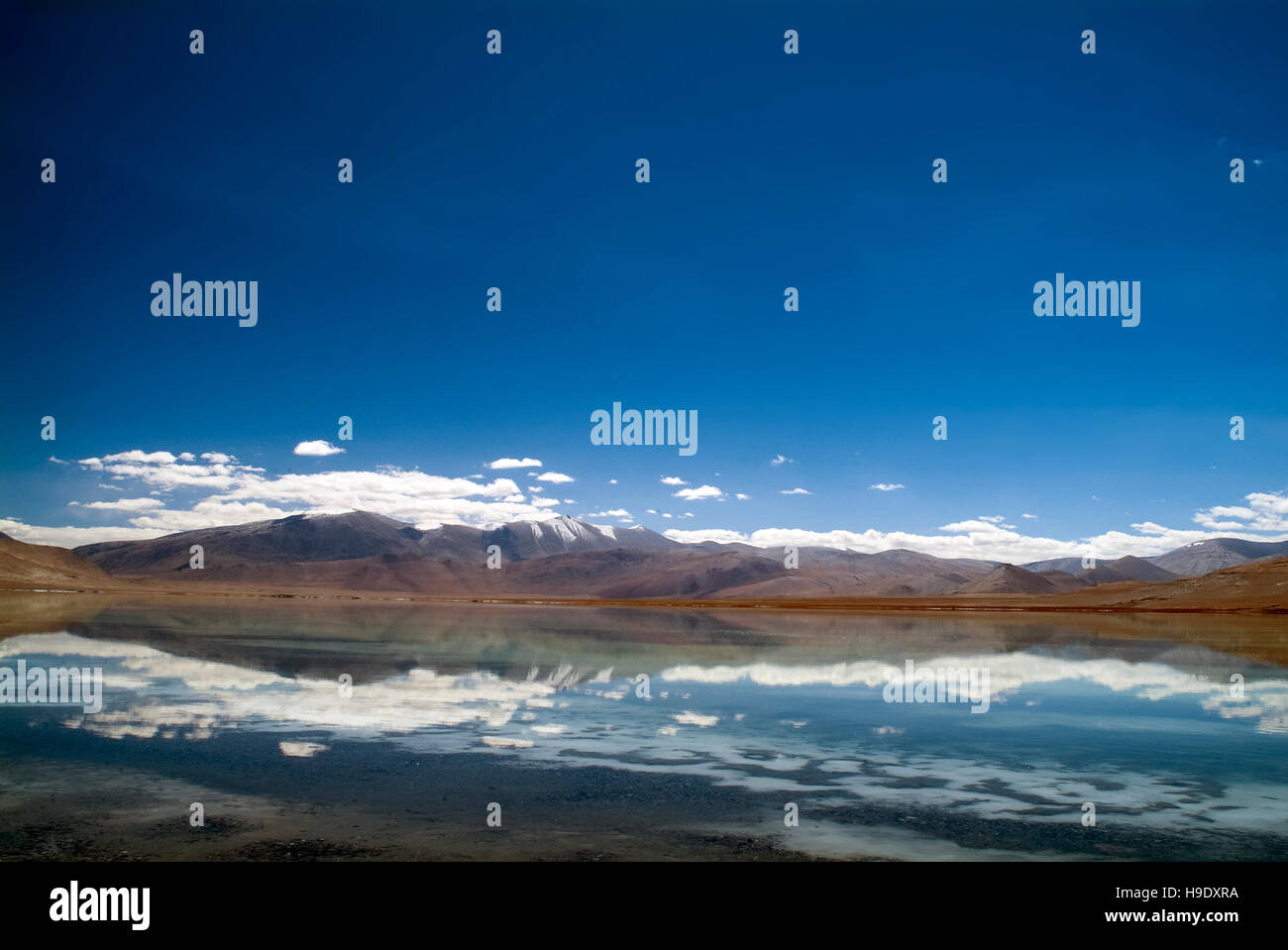Startsapuk Tso, a small fresh water lake in the Rupshu Valley in Ladakh ...