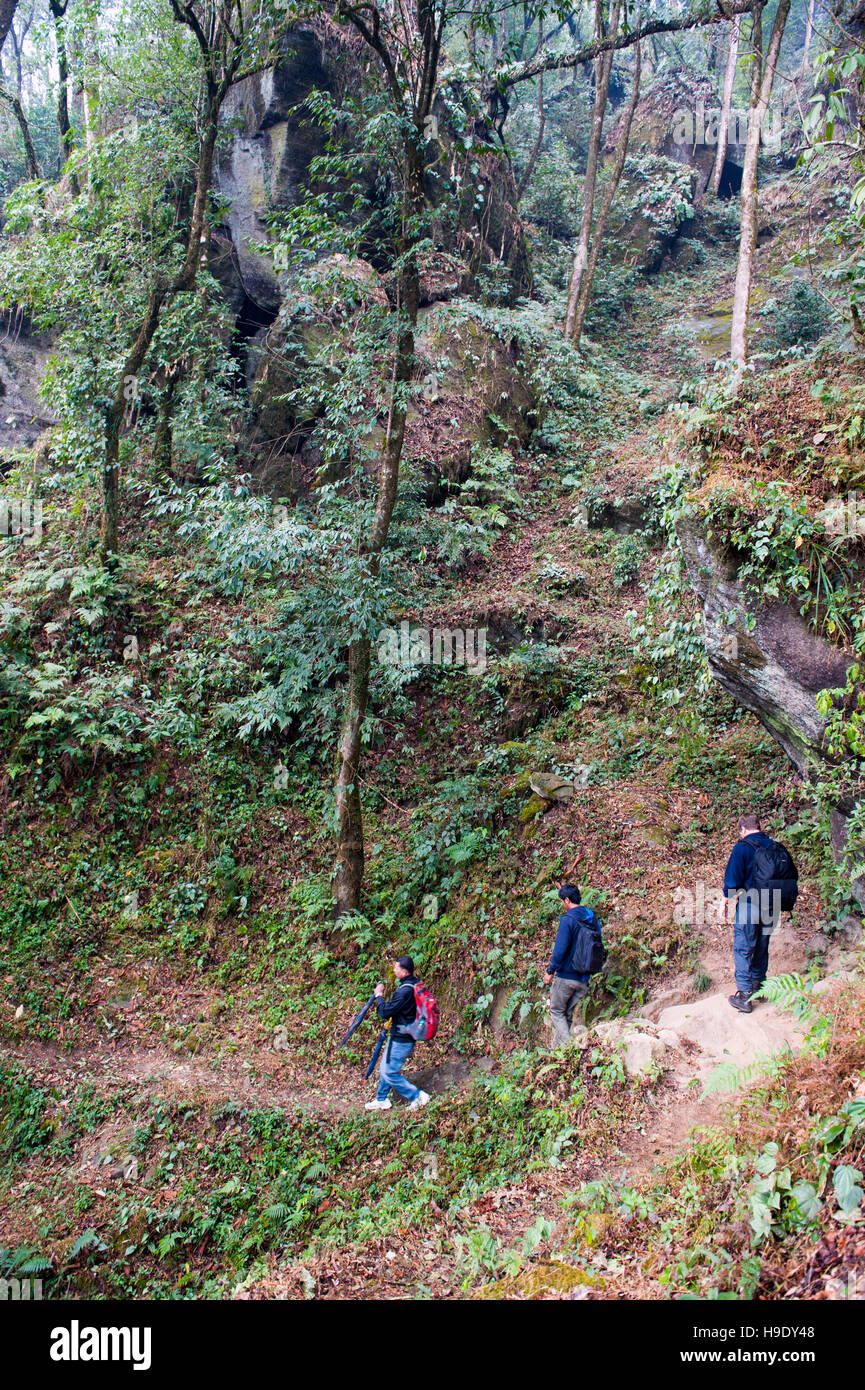 Sikkim forest hi-res stock photography and images - Alamy