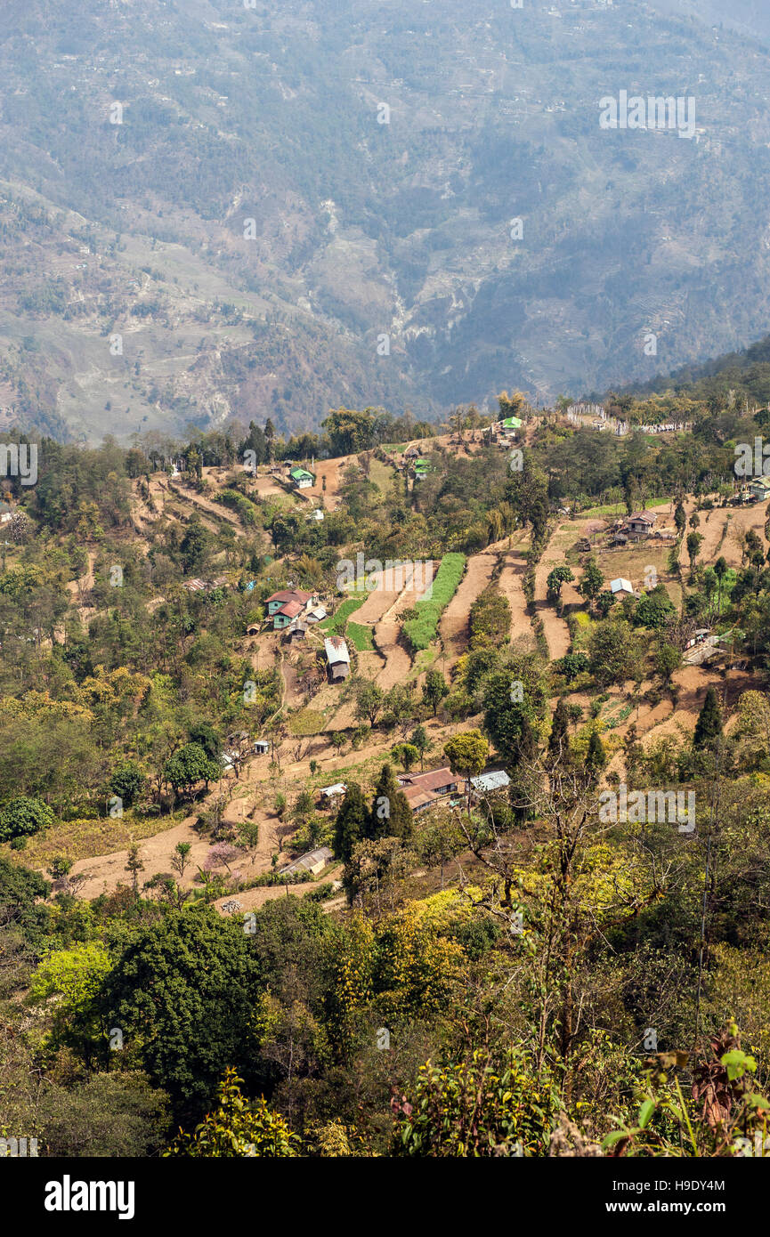 Small farms on the foothills of the Himalayas in Sikkim, India. Sikkim ...