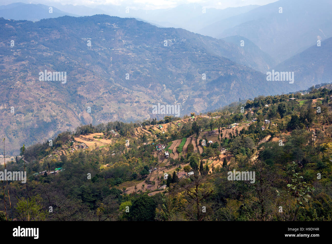 Small farms cover the foothills of the Himalaya in Sikkim, northern ...