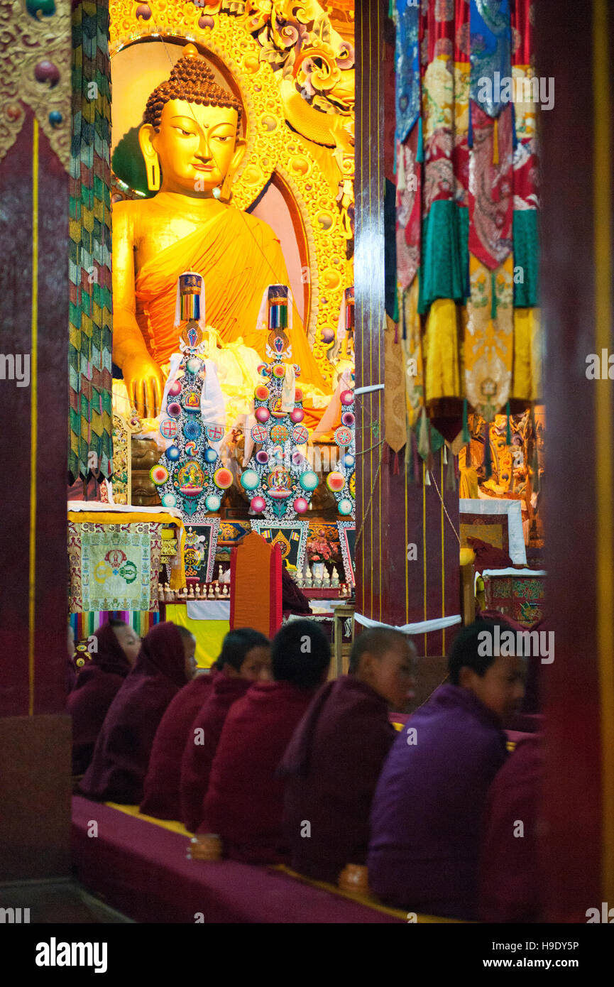 Novice monks at the Tawang Monastery participate in morning puja, or ...
