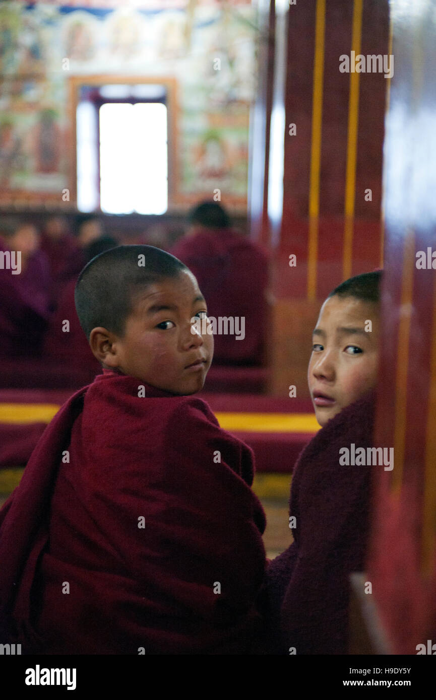 Novice monks at the Tawang Monastery participate in morning puja, or ...