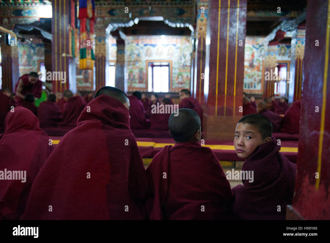 Novice prayers hi-res stock photography and images - Alamy