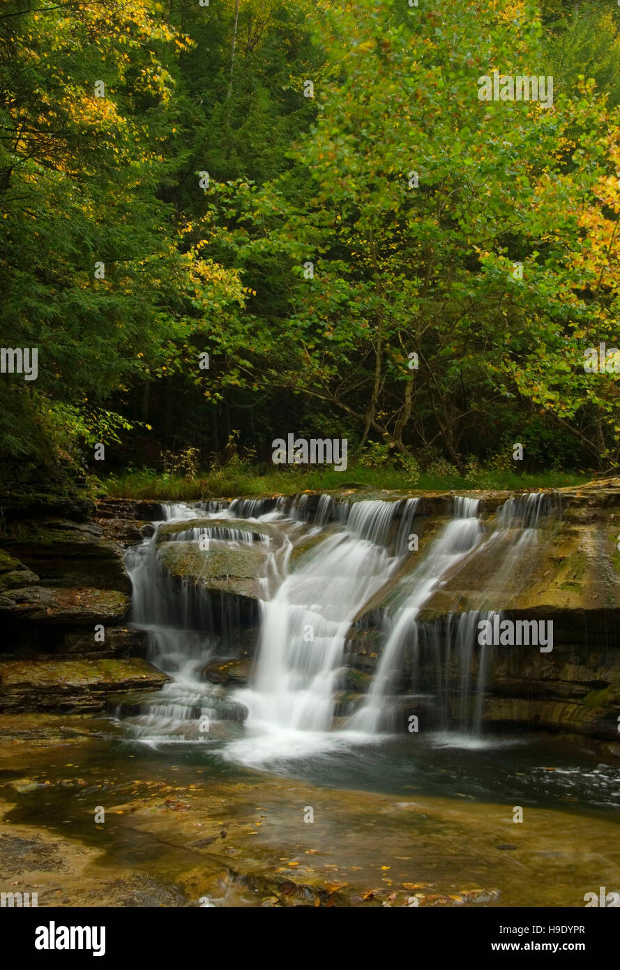 Cascade on Enfield Creek, Robert H Treman State Park, New York Stock ...