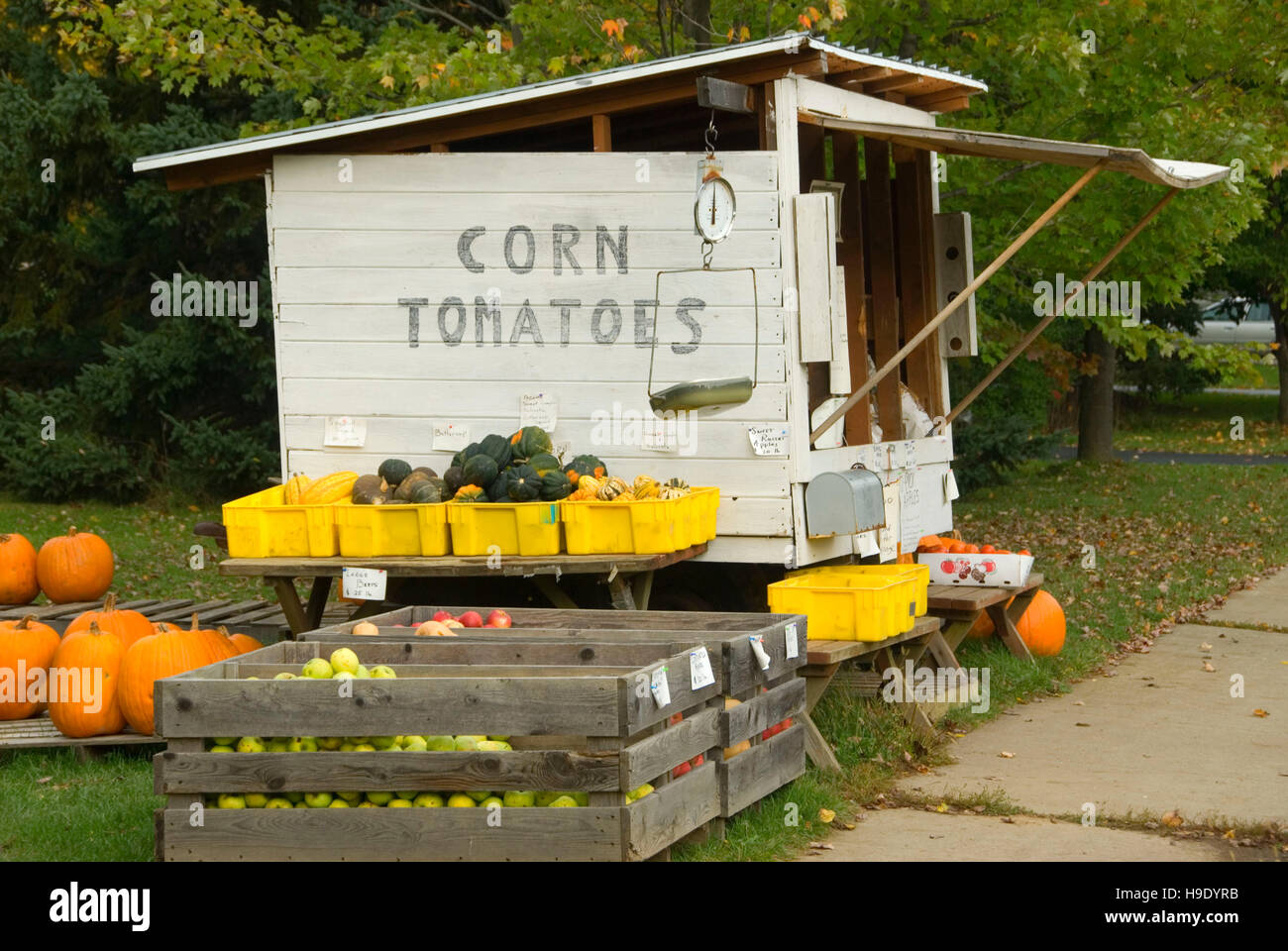 Naples farm hi-res stock photography and images - Alamy