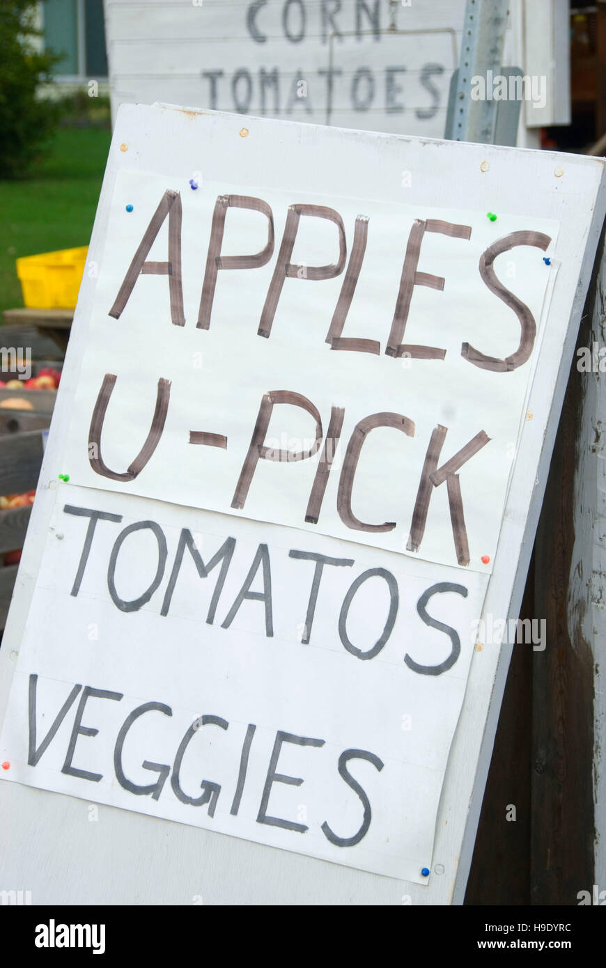 Apple pick new york hi-res stock photography and images - Alamy