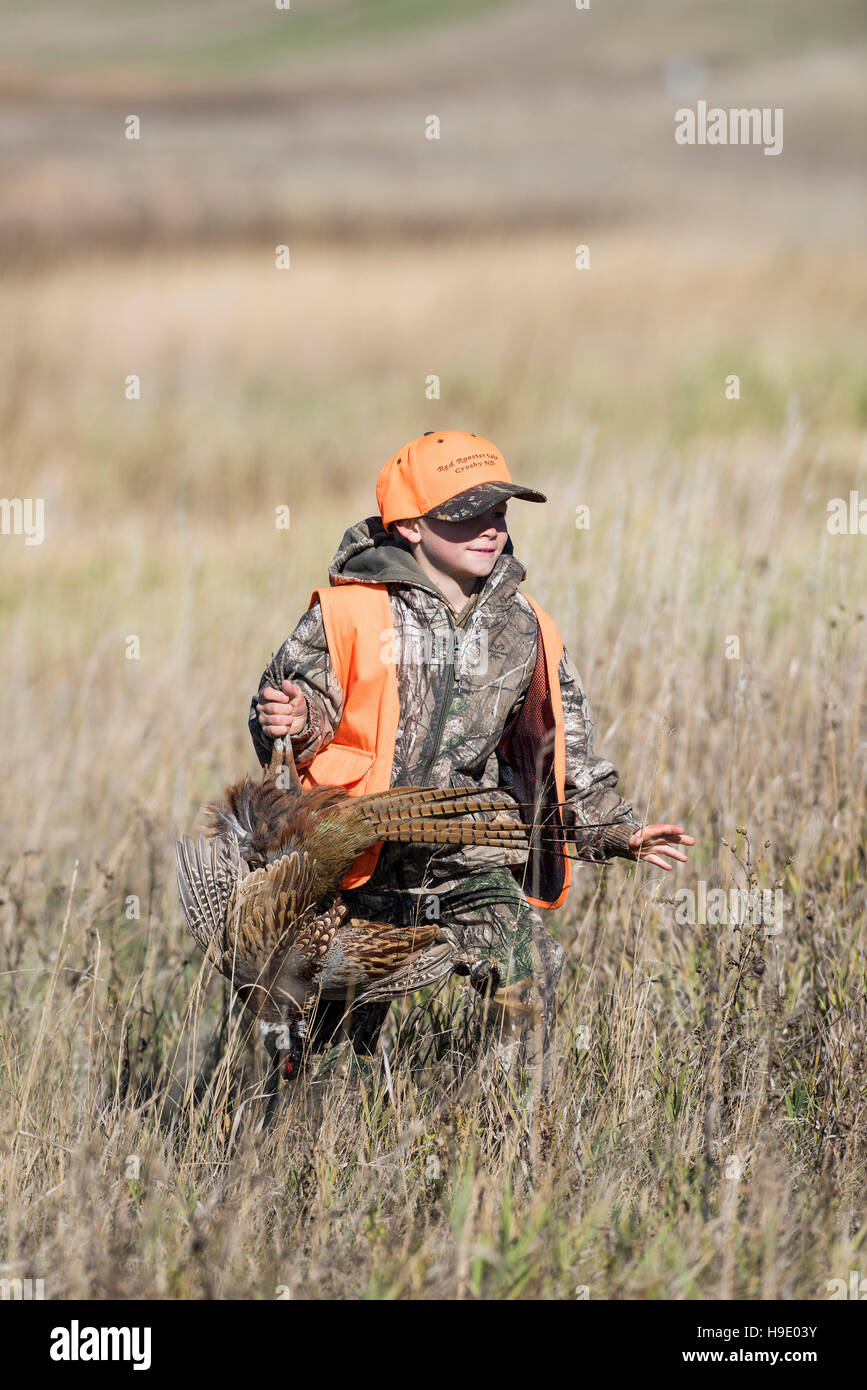 A young pheasant hunter with Rooster Pheasants Stock Photo - Alamy