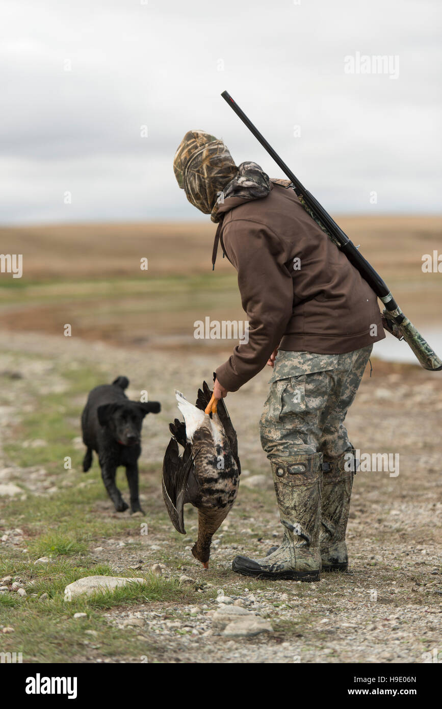 A goose hunter with a Black Labrador Retriever Stock Photo - Alamy
