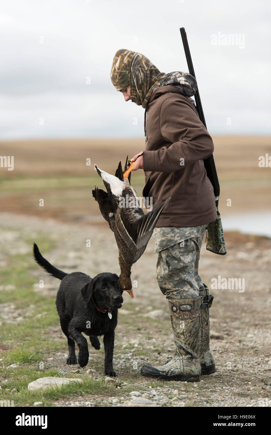 A goose hunter with a Black Labrador Retriever Stock Photo - Alamy