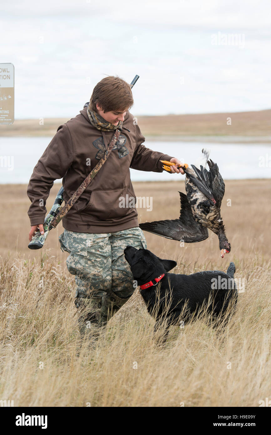 A goose hunter with a Black Labrador Retriever Stock Photo - Alamy