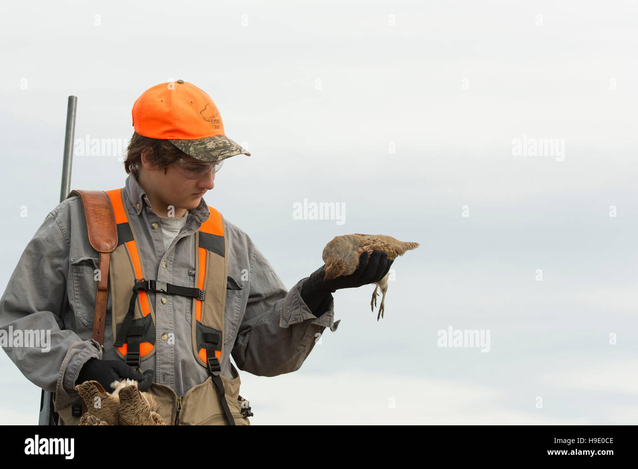 A hunter with Hungarian Partridge Stock Photo - Alamy