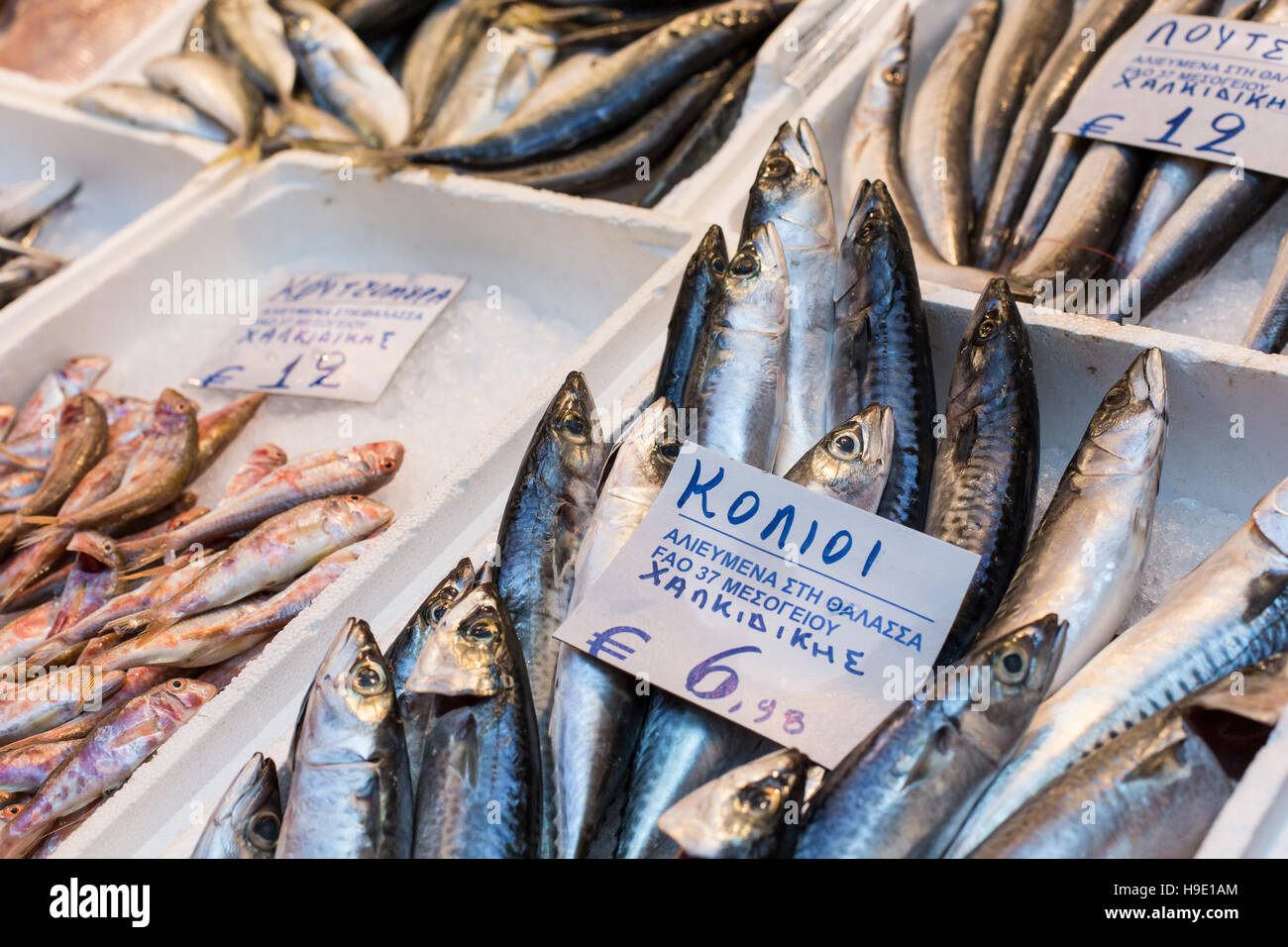 Arrangement fish on market stall hi-res stock photography and images ...
