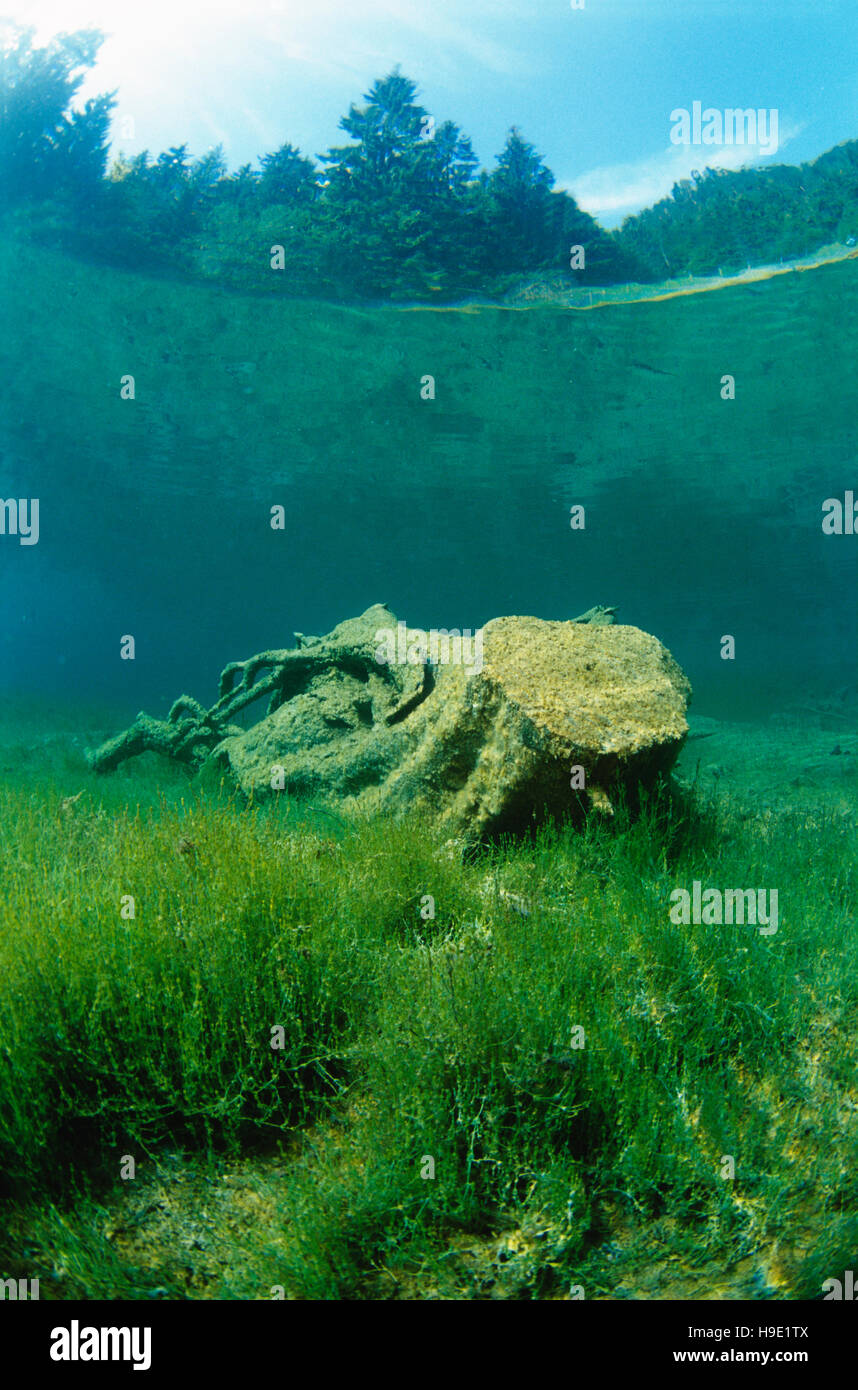 Sunken tree trunk in Lake Samerangersee, Nassereith, Tyrol, Austria ...