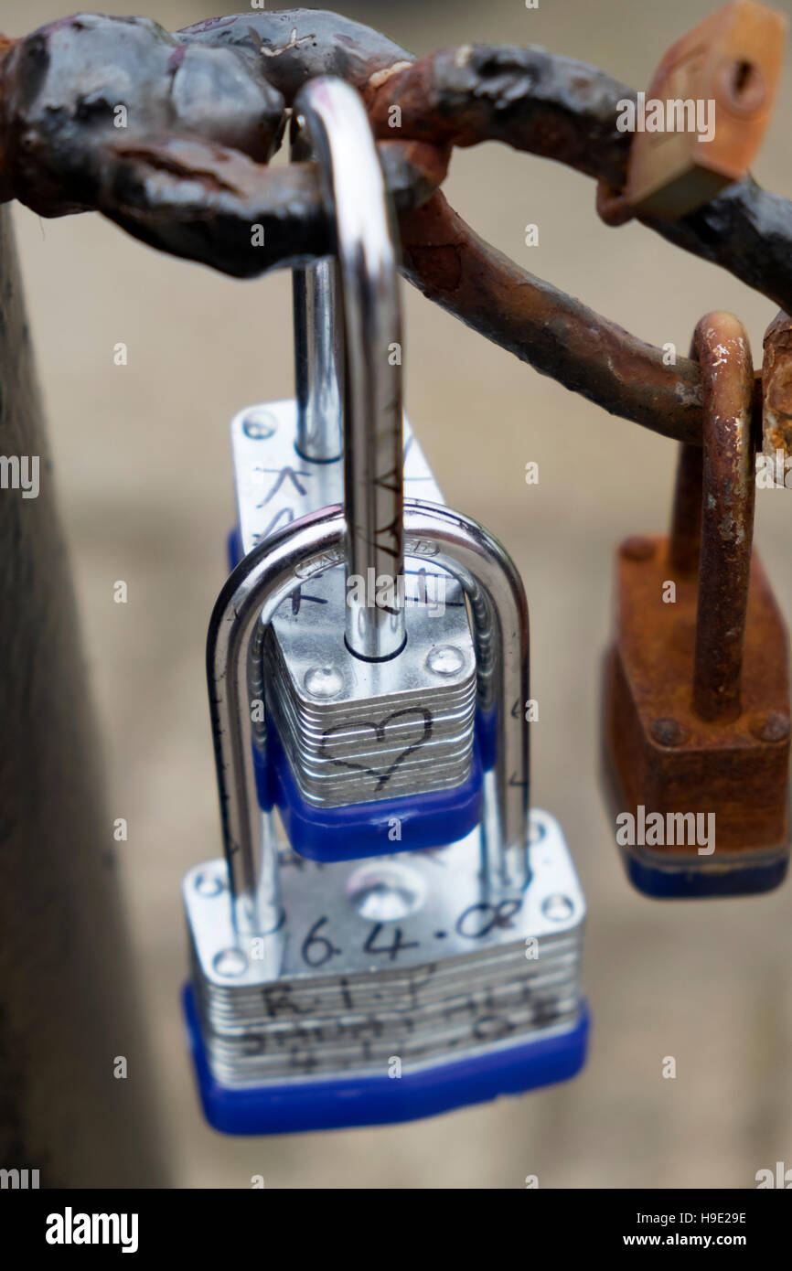 Padlocks on a Chain Stock Photo - Alamy