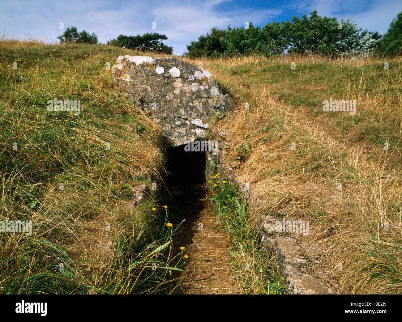 Narrow forecourt & entrance at E end of Uley Long Barrow (Hetty Pegler ...