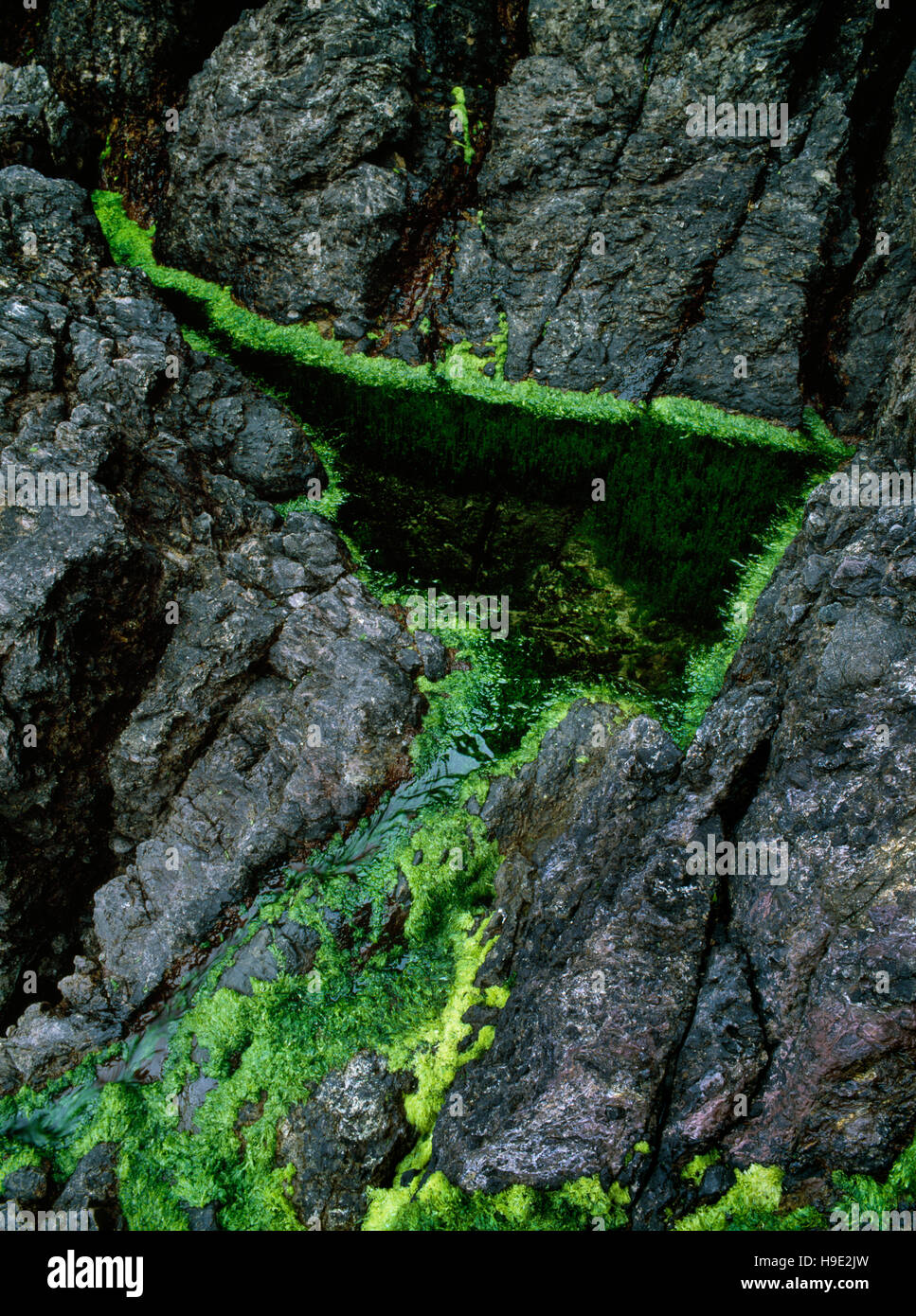 Wales ffynnon fair hi-res stock photography and images - Alamy