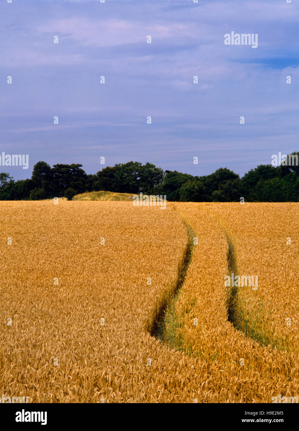 Hester pegler hi-res stock photography and images - Alamy